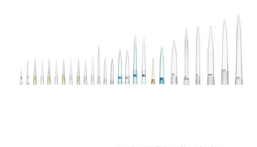 Filter Pipette Tips – CNWTC – Pipet Tip Berkualitas Tinggi dengan ...