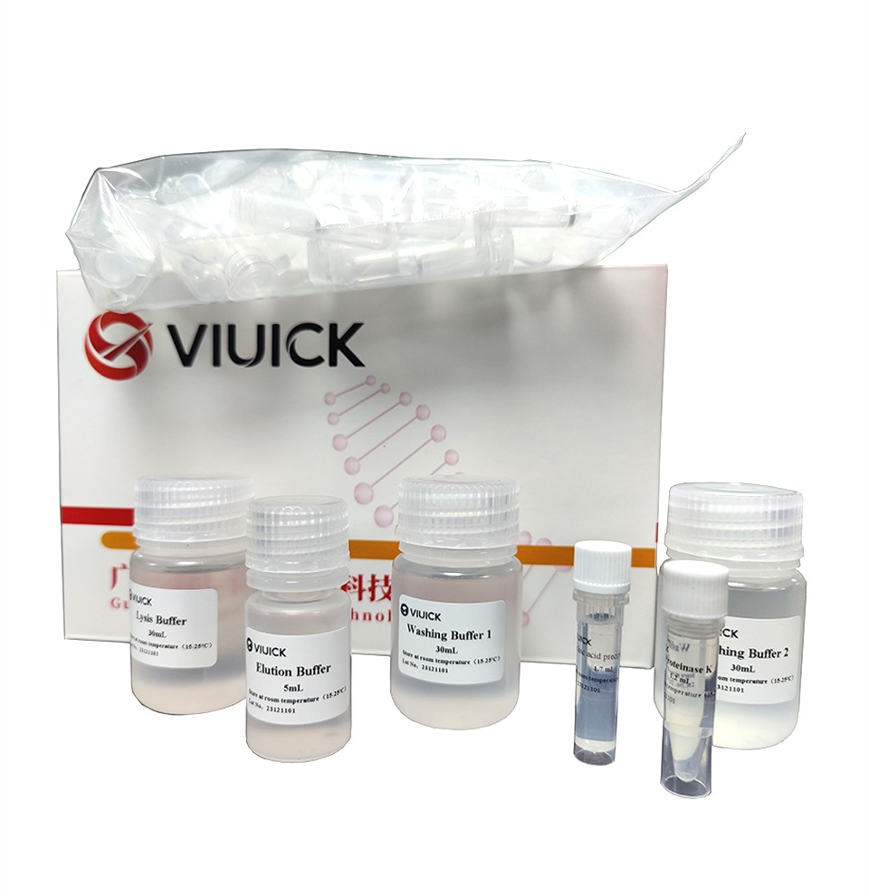 Diagnostic Kit for Pathogenic Escherichia coli (EPEC) DNA – Viuick ...